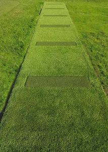 Artificial Grass Tee Line, Driving Range & Tee Box Design & Installation